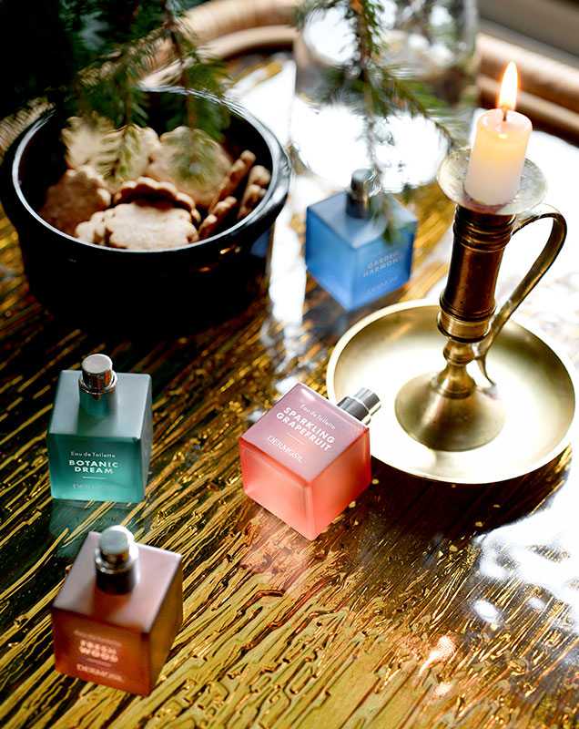 Skin care, hair care and makeup - Dermosil